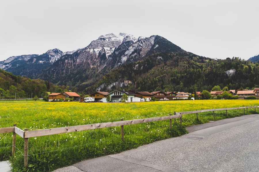 Splendid Switzerland | Indus Travels